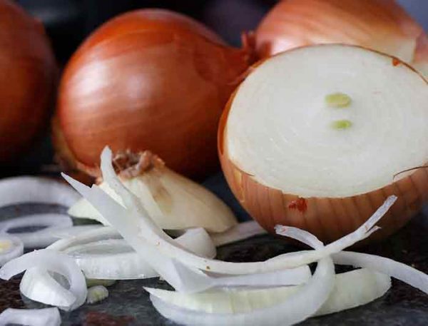 L'intoxication à l'oignon chez le chien