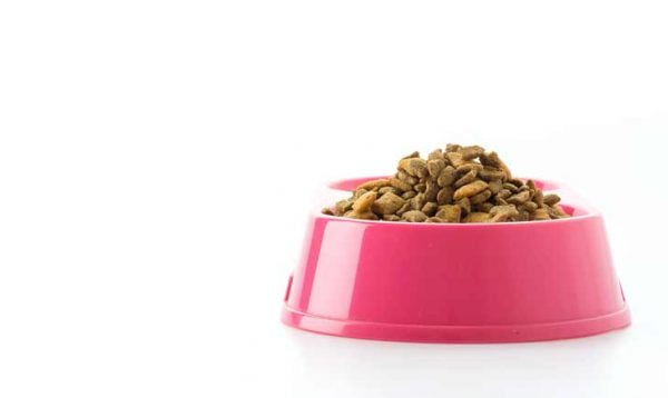 Choisir les meilleures croquettes pour chien : le guide complet