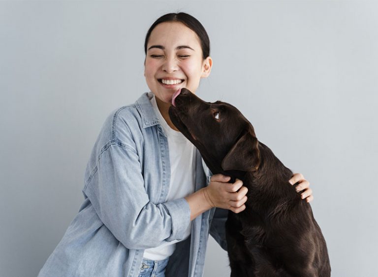7 races de chiens aux yeux bleus avec photos - Toutoupourlechien
