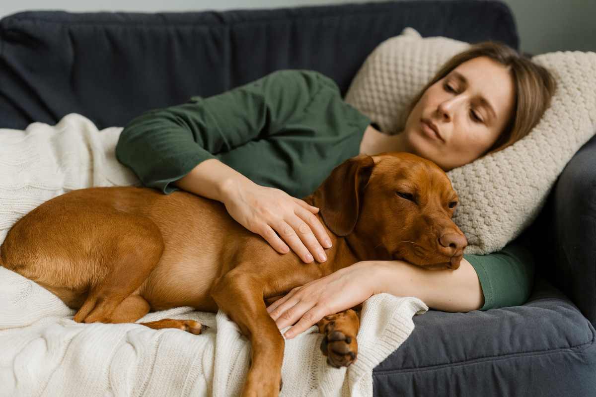 10 signes que votre chien comprend vos émotions mieux que vous ne le ...